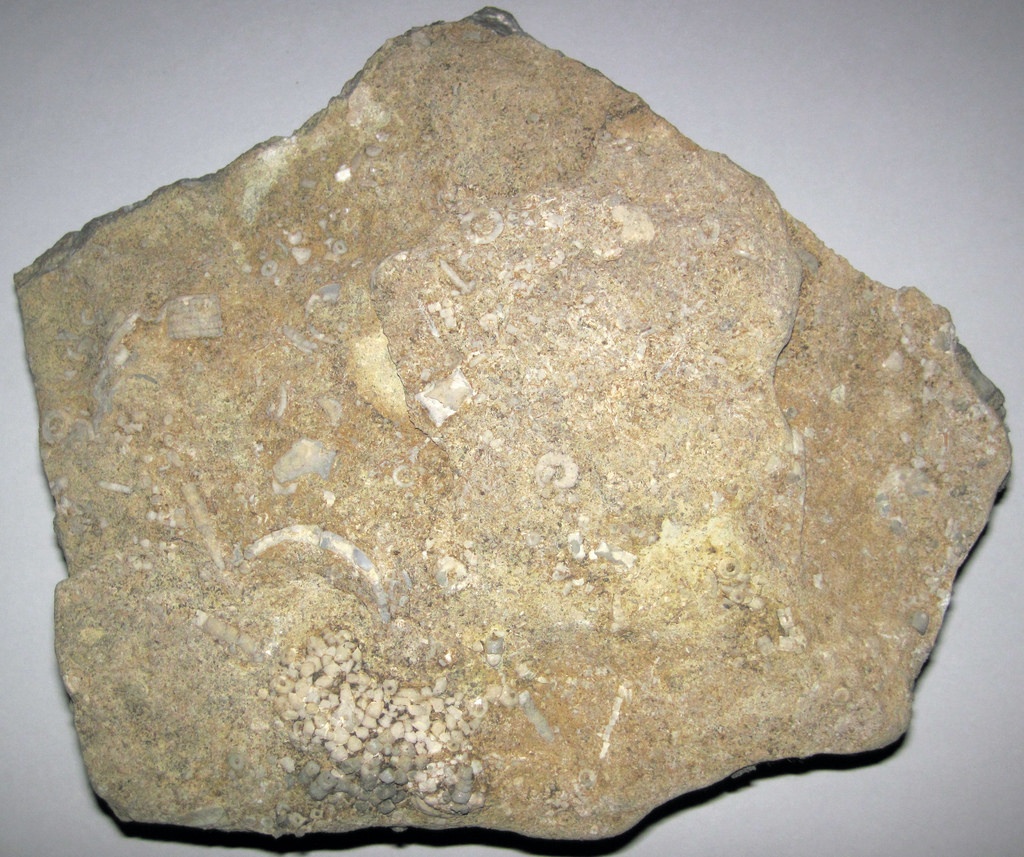 The Most Popular Stones For Building | Tiger Stone